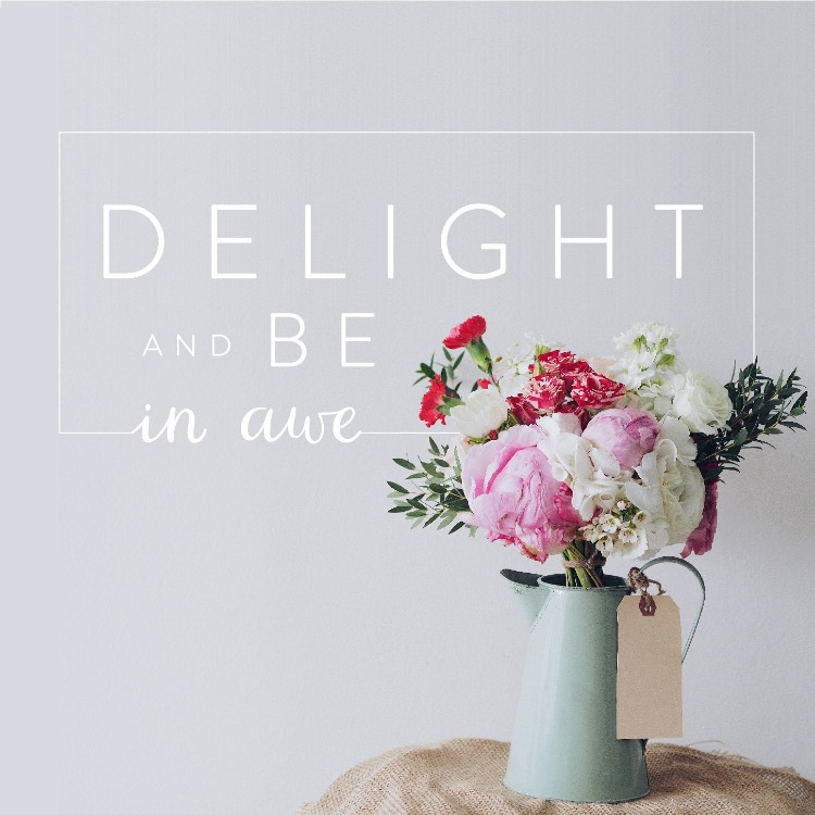 Delight & Be In Awe » Delight and Be™